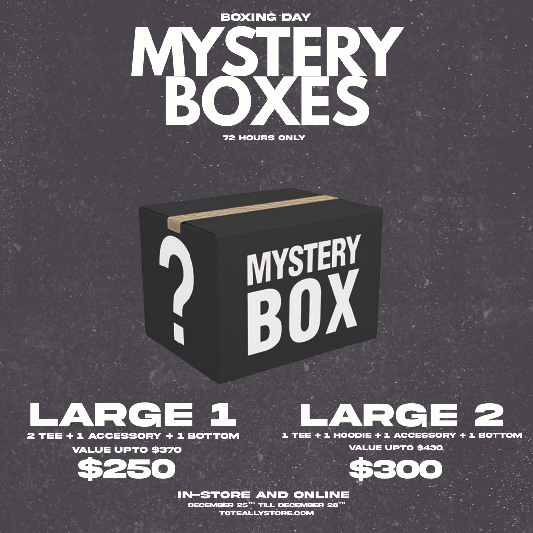 Large Mystery Box One – Toteally Store